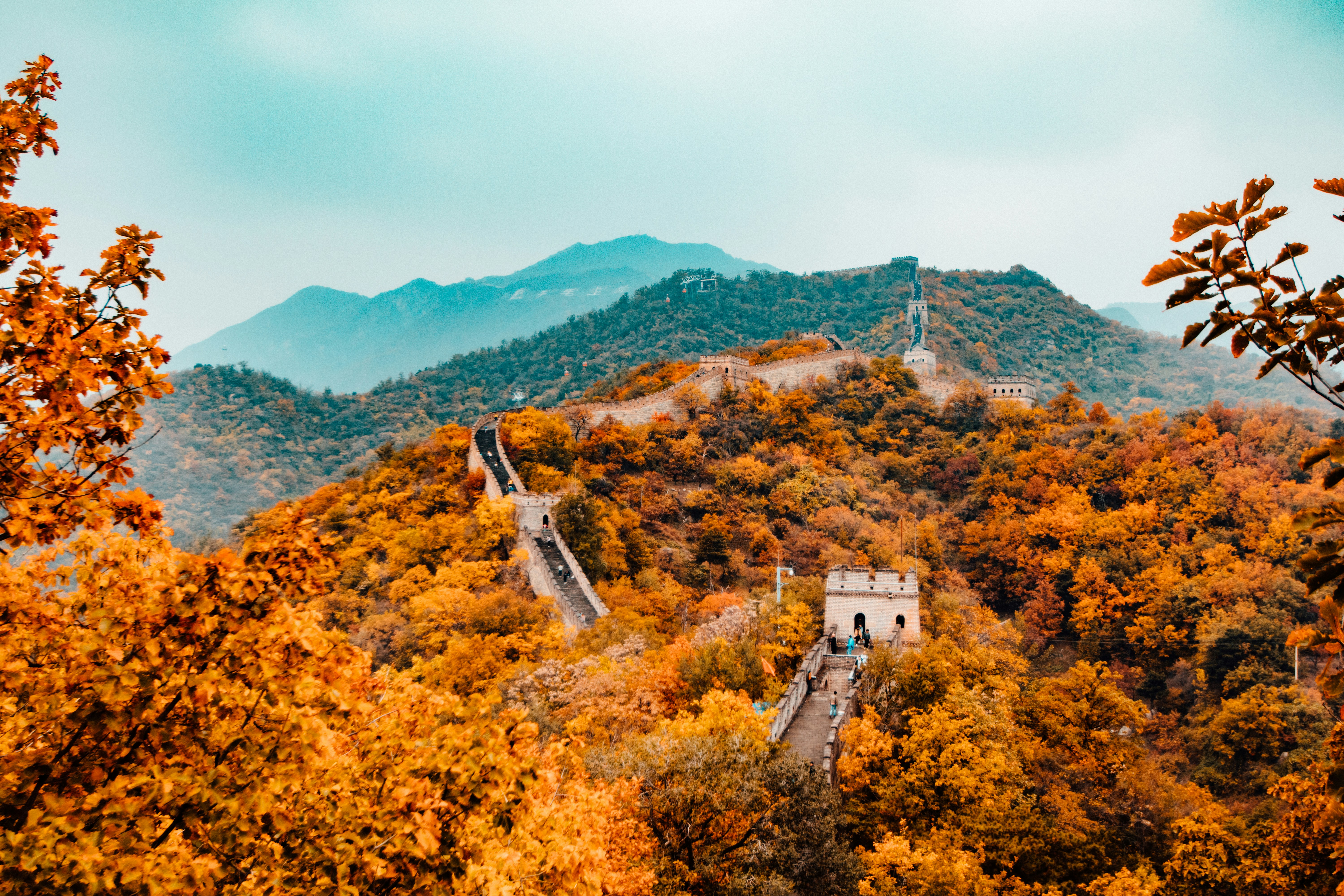 China Expert Group | Business at OECD